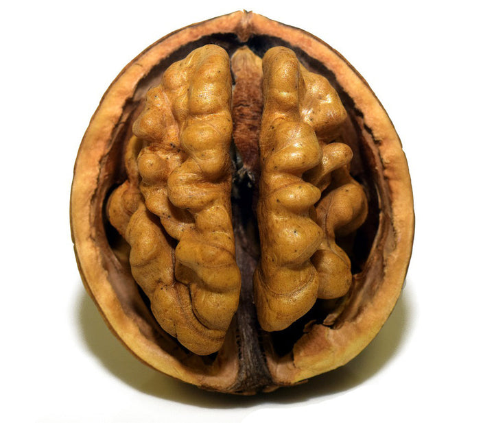 Brainy People Eat Walnuts, Almonds and Pistachios! – Maisie Jane's